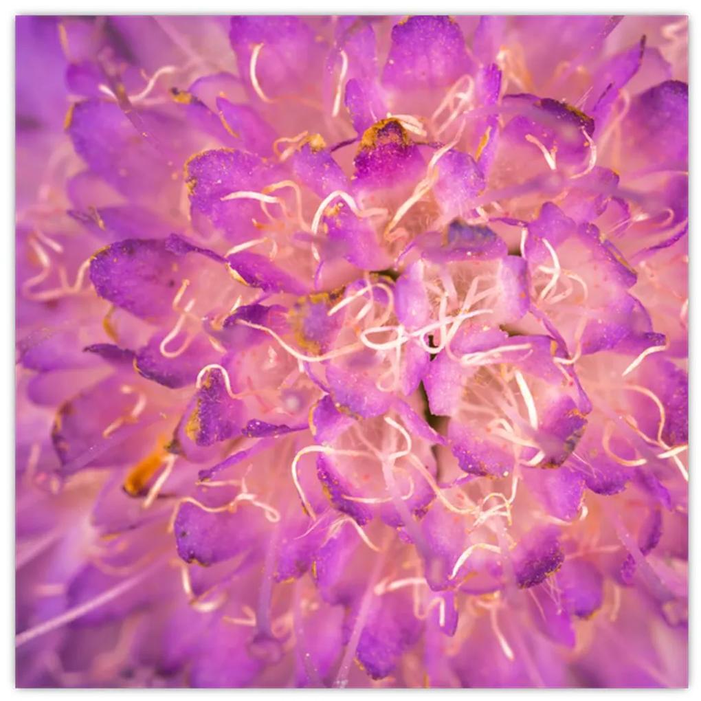 Detailní obraz květu (30x30 cm)