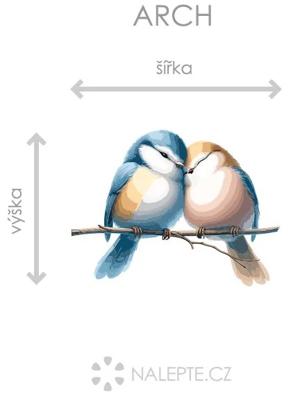 Láskyplní ptáčci samolepka na zeď arch 45 x 35 cm