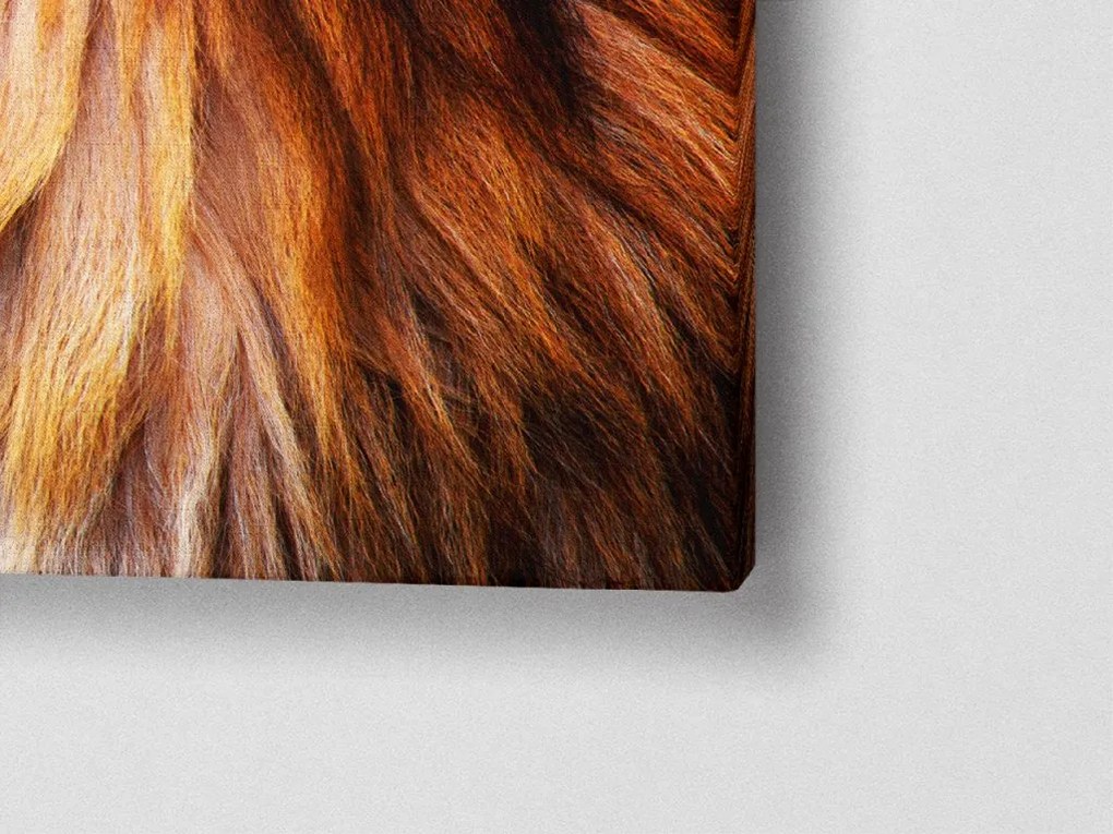 Liox XXL Obraz lev a měsíc Rozměr: 200 x 100 cm
