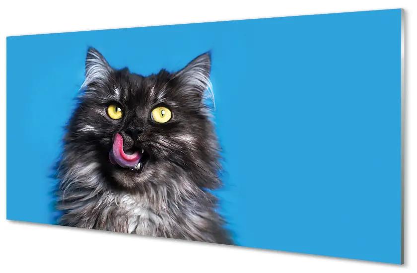 Obraz na skle Oblizujący kočka 140x70 cm