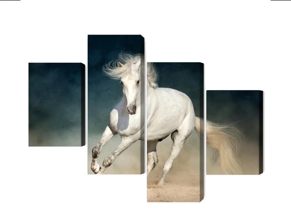 Vícedílný obraz Bílý Kůň Ve Cvalu Nedostatek Nedostatek Přírodní plátno 240x150