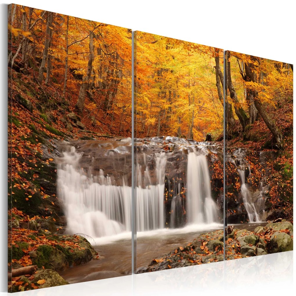Obraz - Vodopád mezi podzimními stromy 120x80