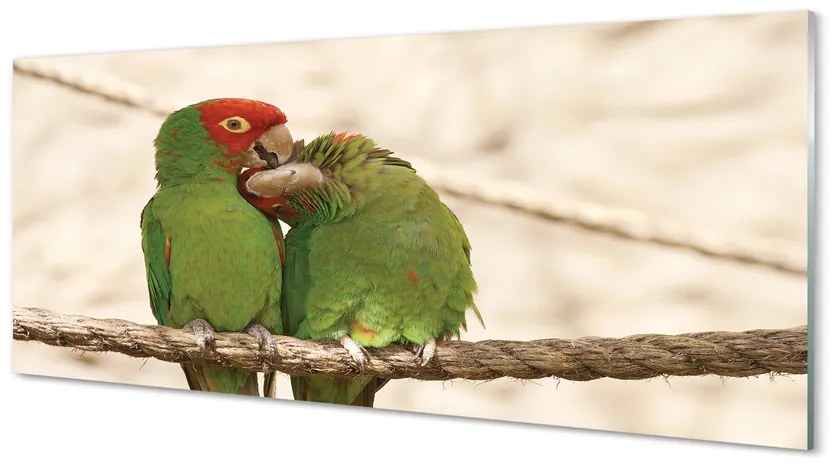 akrylový obraz zelené papoušci 120x60 cm