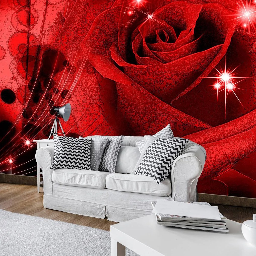 Fototapeta - Červená růže (152,5x104 cm)
