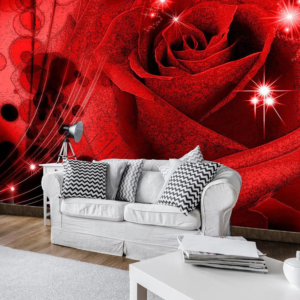 Fototapeta - Červená růže (254x184 cm)