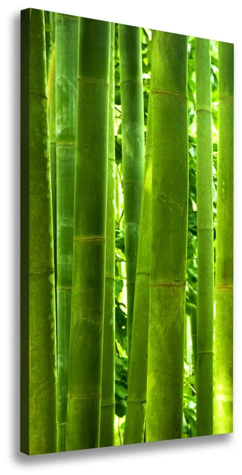 Wallmuralia Vertikální Moderní fotoobraz canvas na rámu Bambus 50x100