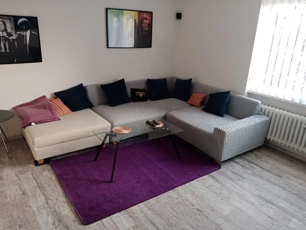 Hanse Home, Kusový koberec Fancy 103005 Lila - fialový, 200x280, fialová, dětský pokoj