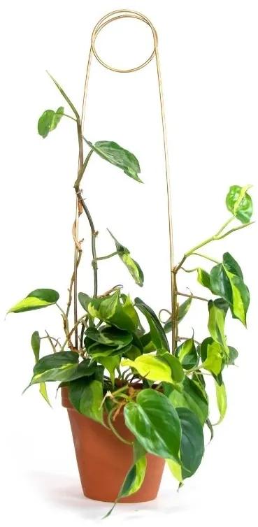 Botanopia Kovová vzpěra k rostlinám - špendlík, výška 70 cm, zlatá