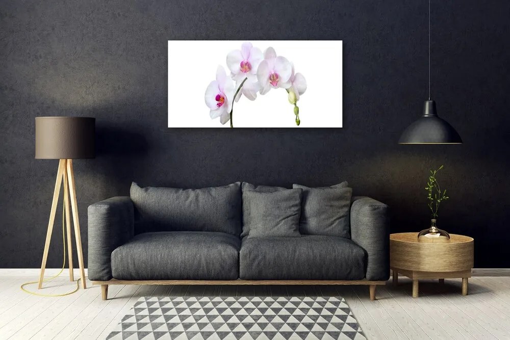 Plexisklo-obraz Vstavač Orchidej Květiny 100x50 cm