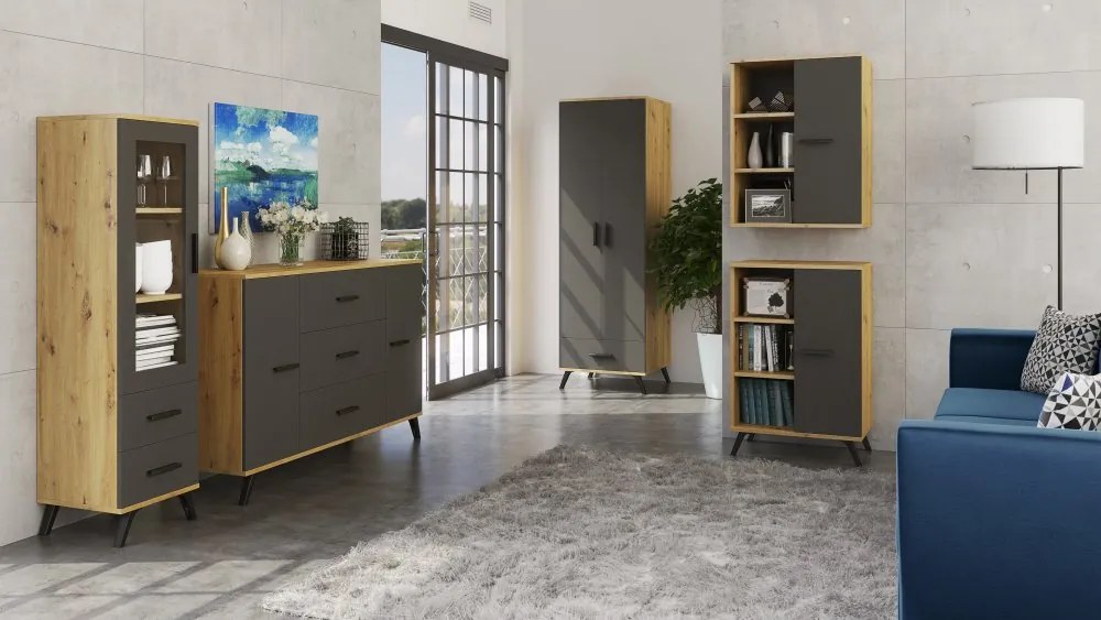 FALCO Komoda se šuplíky a dvířky Robie 10 grafit/artisan