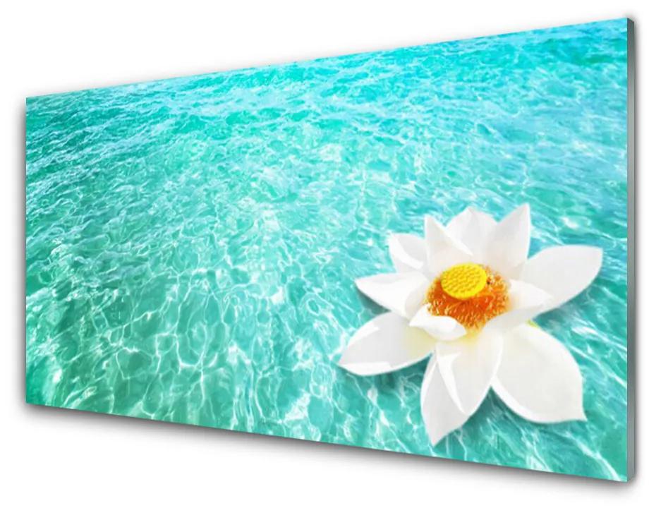 akrylový obraz Voda Květ Umění 100x50 cm