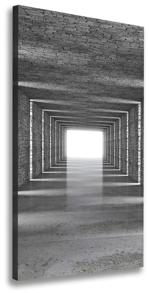 Wallmuralia Foto obraz na plátně Tunel z cihly 60x120 cm