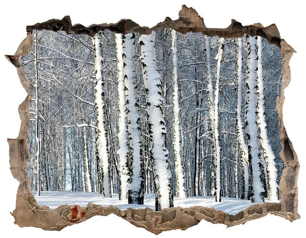 Wallmuralia Samolepící díra na stěnu nálepka Les zima 95x64 cm