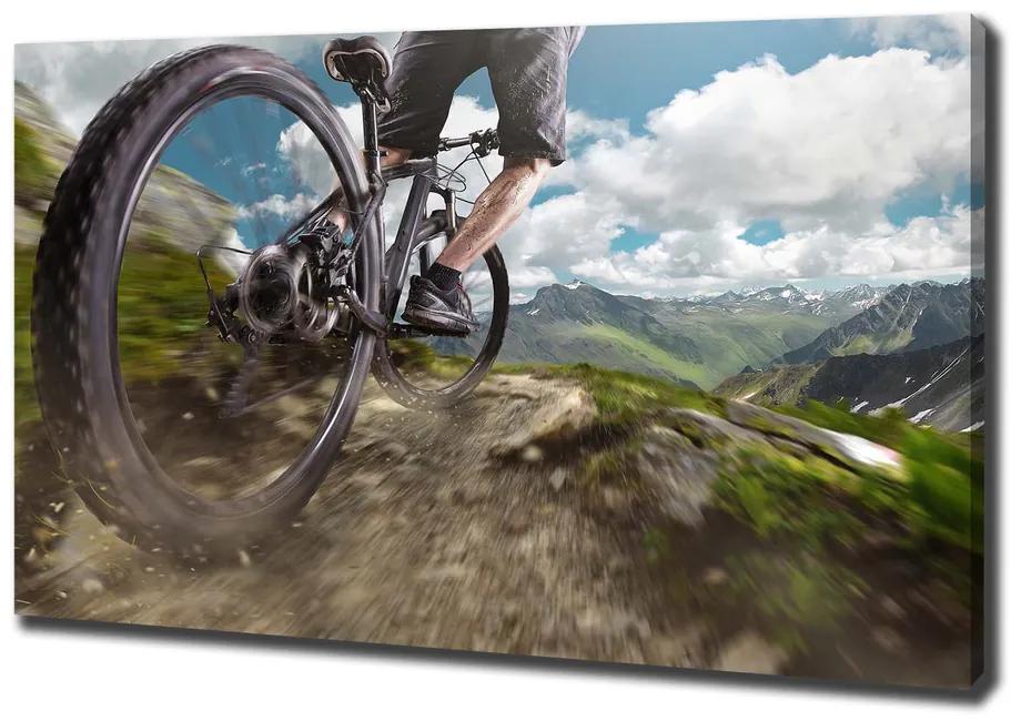 Wallmuralia Foto obraz na plátně Horská cyklistika 100x70 cm | BIANO