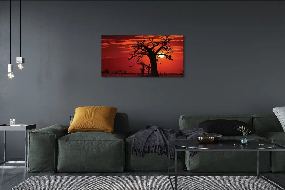 Obrazy na plátně Stromy oblohy zataženo 120x60 cm