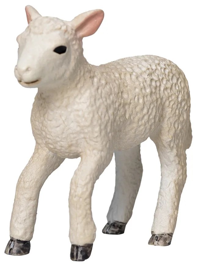 Mojo Jehňátko romney marsh běžící