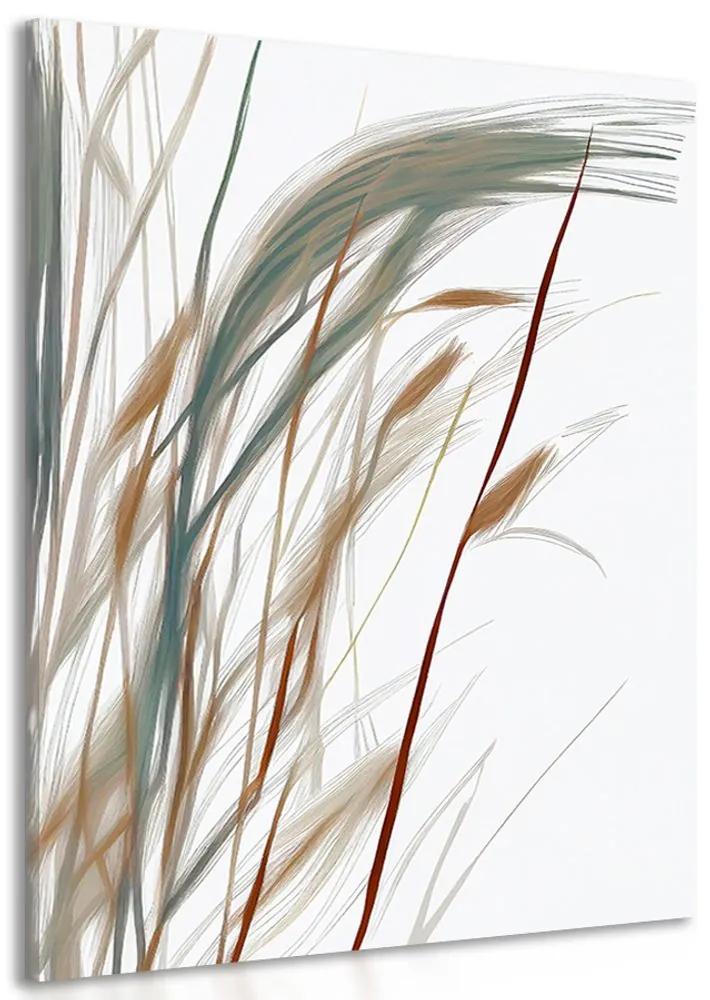 Obraz minimalistická stébla trávy Varianta: 40x60