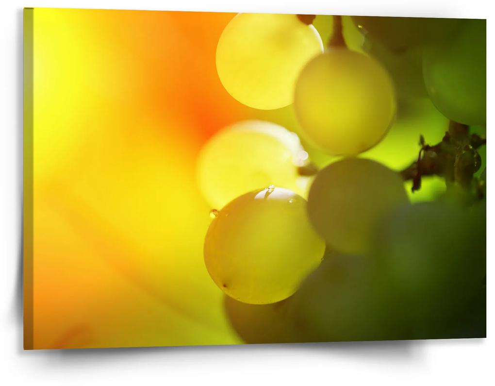 Obraz - Hroznové víno 150x110 cm