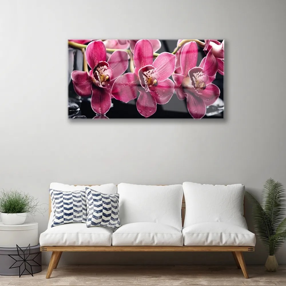 Obraz na skle Květiny Orchideje  Výhonky Příroda 120x60 cm