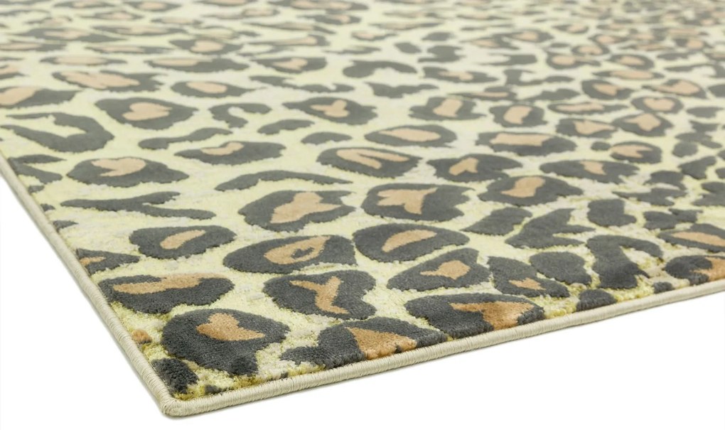 Barevný koberec Ston Leopard Rozměry: 200x290 cm