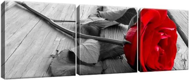Tištěný obraz Červená růže 90x30cm 1138A_3A