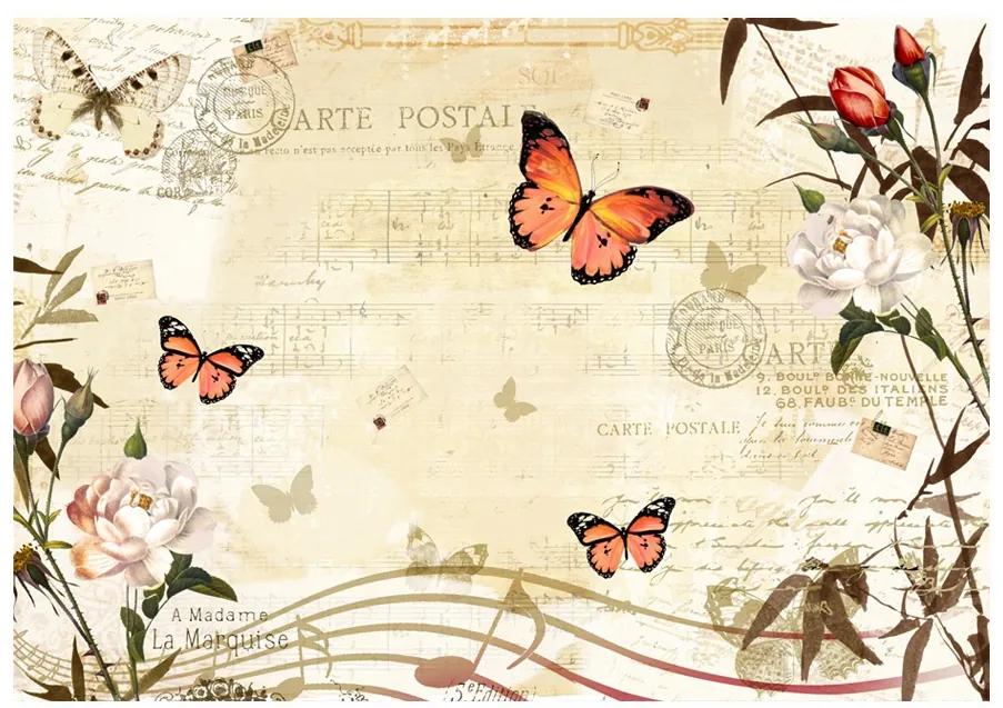 Fototapeta - Melodies of butterflies