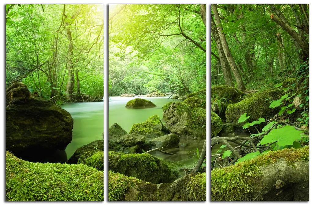 Obraz Řeka v lese , vícedílný