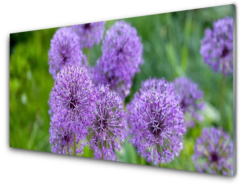 Obraz na skle Fialové Květiny Louka 100x50 cm