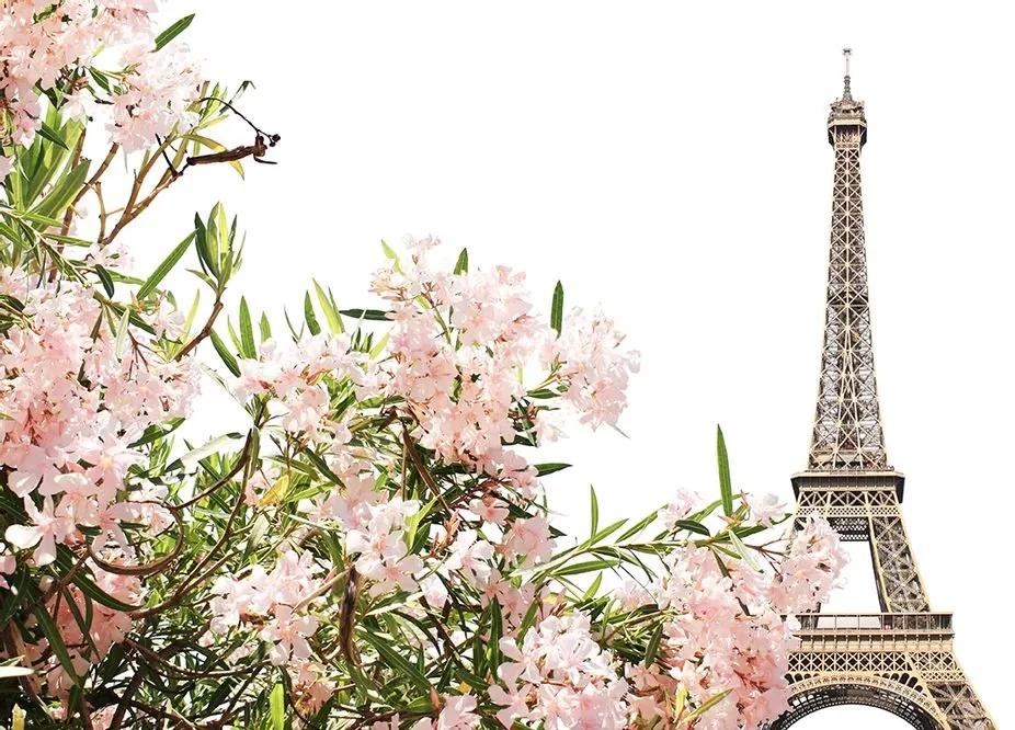 Samolepící fototapeta Eiffelova věž a růžové květy - 150x100 cm