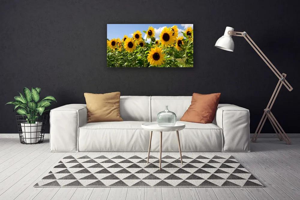 Obraz na plátně Slunečnice Květ Rostlina 125x50 cm