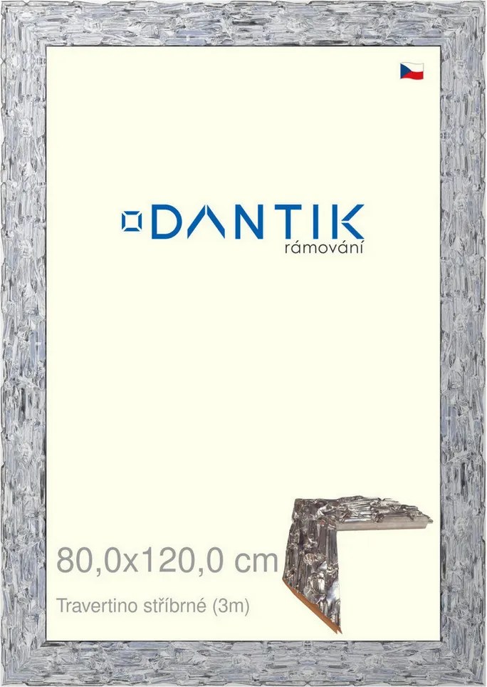 DANTIK rámeček 80x120 | TRAVERTINO stříbrné (Plexi Čiré)