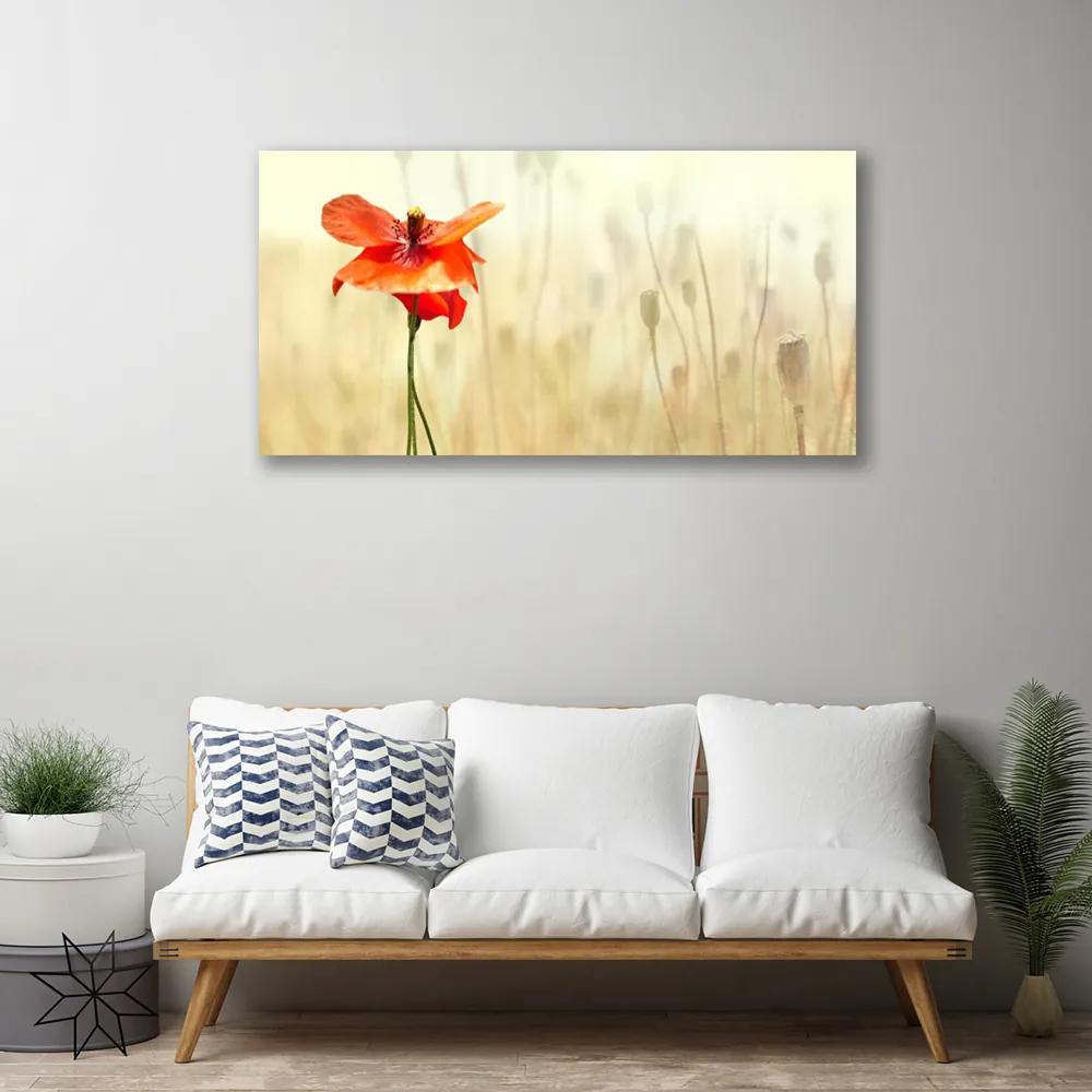 Obraz na plátně Máky Rostlina Příroda 125x50 cm