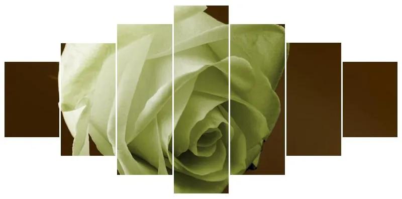 Obraz zelené růže (210x100 cm), 40 dalších rozměrů