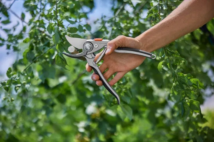 © 2026 GARDENA Zahradní nůžky Premium BP 50