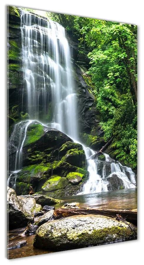 Wallmuralia Vertikální Fotoobraz na skle Vodopád v džungli 50x100