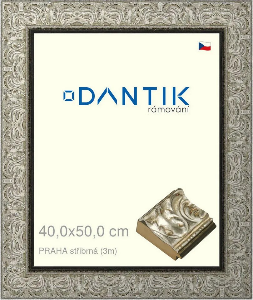 DANTIK rámeček 40x50 | PRAHA stříbrná (Sklo Čiré)