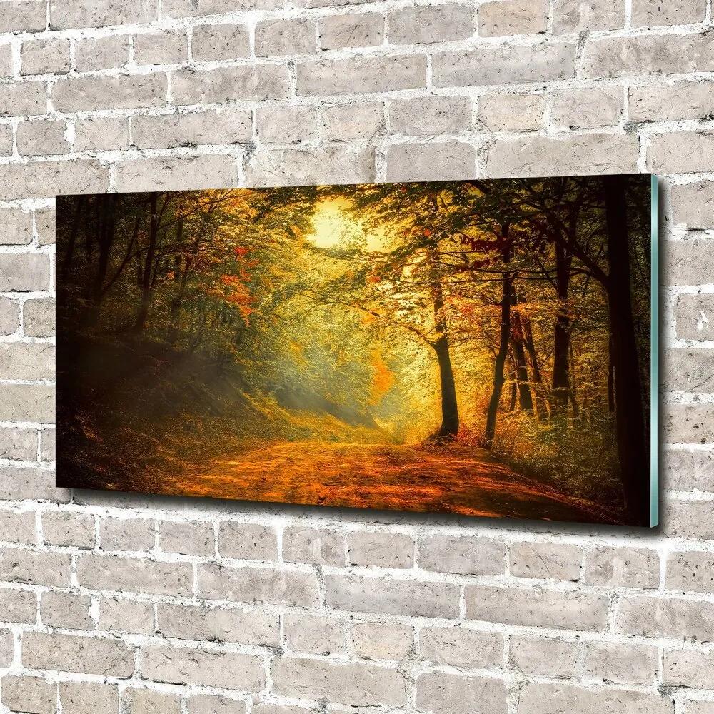 Wallmuralia Fotoobraz na skle Podzimní les 140x70 cm