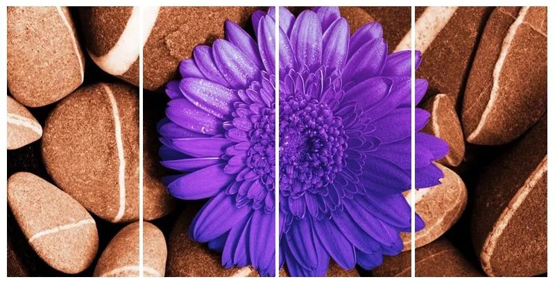 Obraz fialového květu na kamenech  (160x80 cm), 40 dalších rozměrů