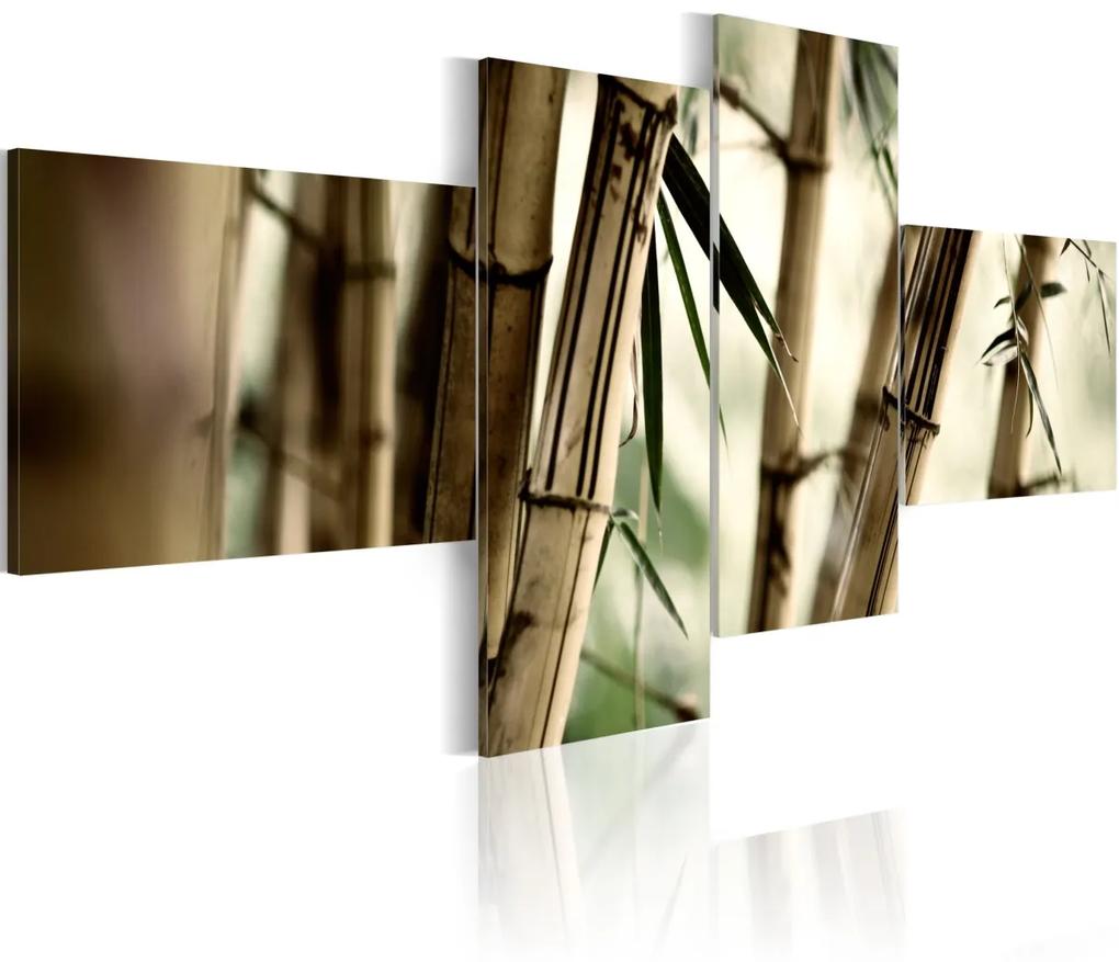 Obraz - Bambusová inspirace