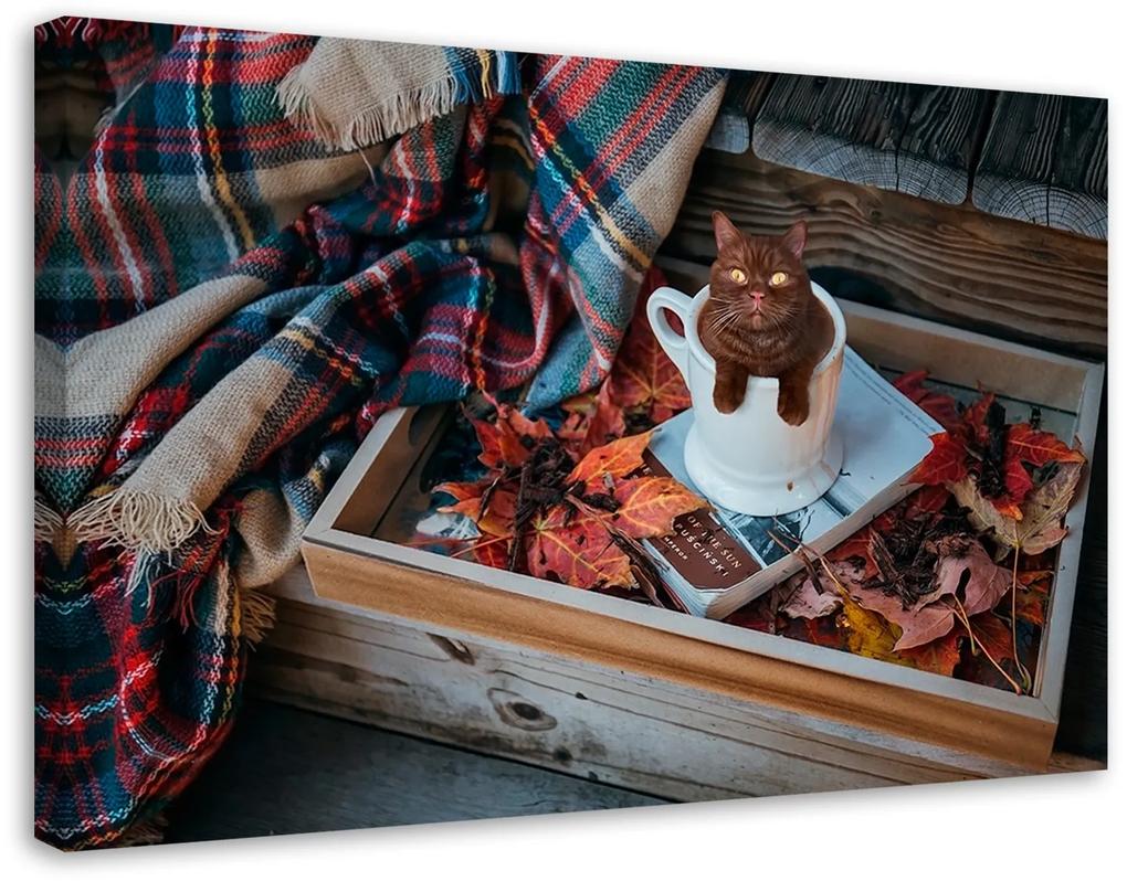 Gario Obraz na plátně Čokoládová kočka Podzimní listí - Galina Bugaevskaya Rozměry: 60 x 40 cm