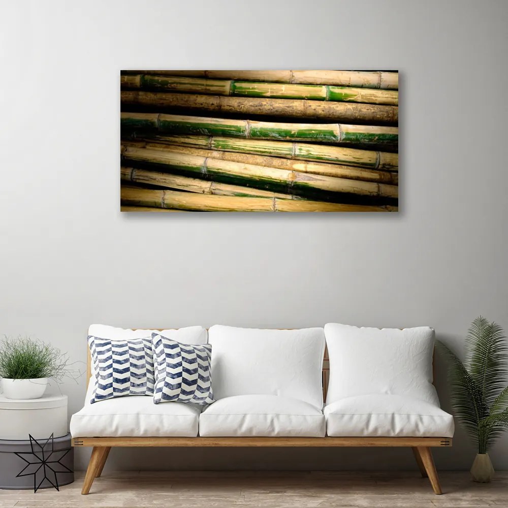Obraz na plátně Bambus Rostlina Příroda 140x70 cm