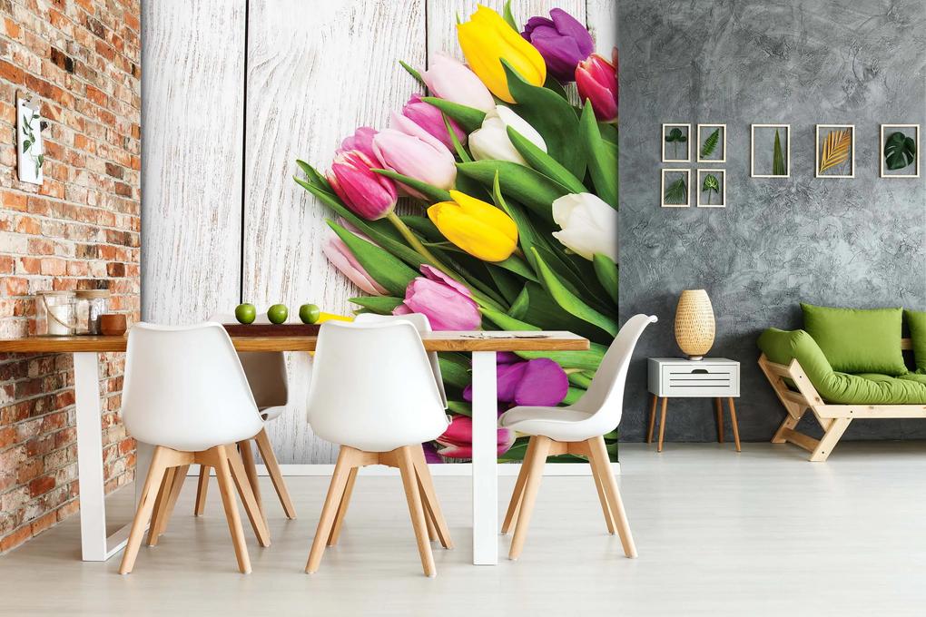 Malvis ® Tapeta Tulipány a dřevo Vel. (šířka x výška): 504 x 310 cm