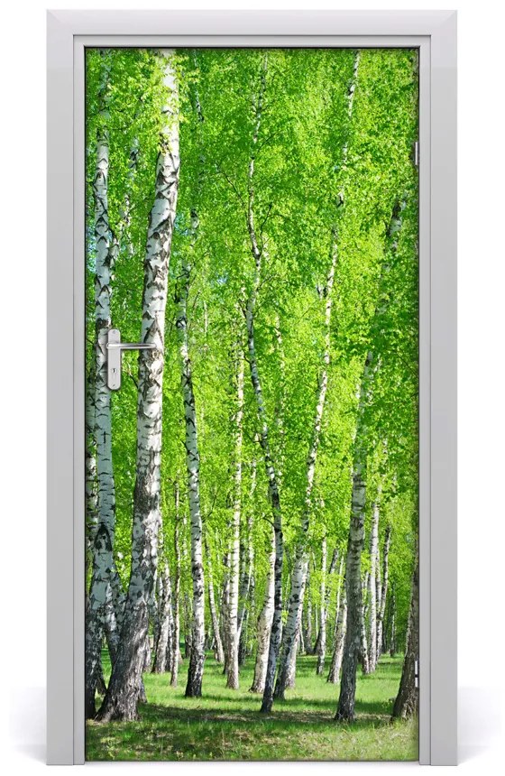 Fototapeta na dveře samolepící břízový les 85x205 cm