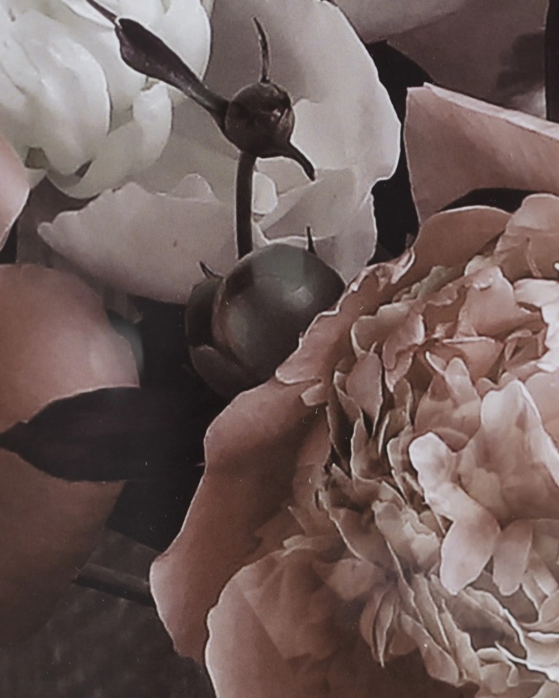 Obraz Peony Sunset II 40x50cm