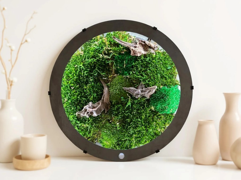 Li-Go "Mechové kopečky s kořeny" dřevěná lampa/obraz s baterií a pohybovým čidlem/černá s patinou velikost svítidla/hodin: 31 cm