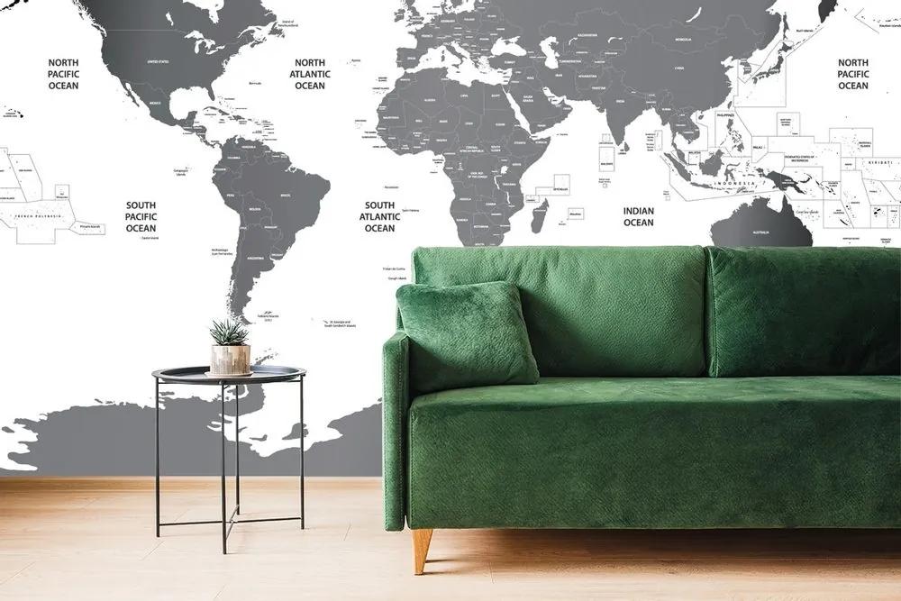 Samolepící tapeta mapa světa s jednotlivými státy v šedé barvě - 300x200 cm