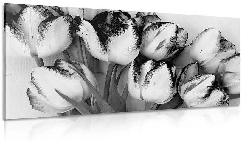Obraz tulipány v jarním nádechu v černobílém provedení - 120x60 cm