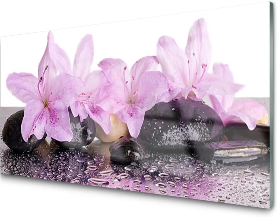 Plexisklo obraz Květiny Kameny Zen Lázně