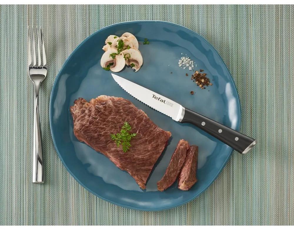 Sada nožů na steak z nerezové oceli 4 ks Ice Force – Tefal