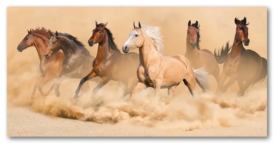 Wallmuralia Foto obraz skleněný horizontální Koně poušť 100x50 cm